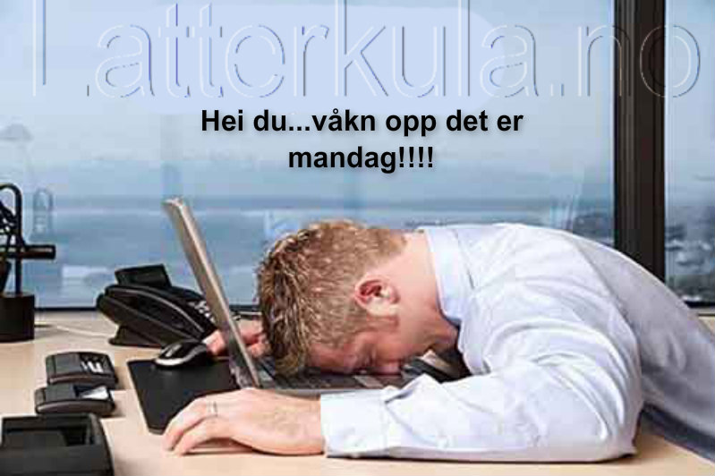 Mandag - Lattermuskelen